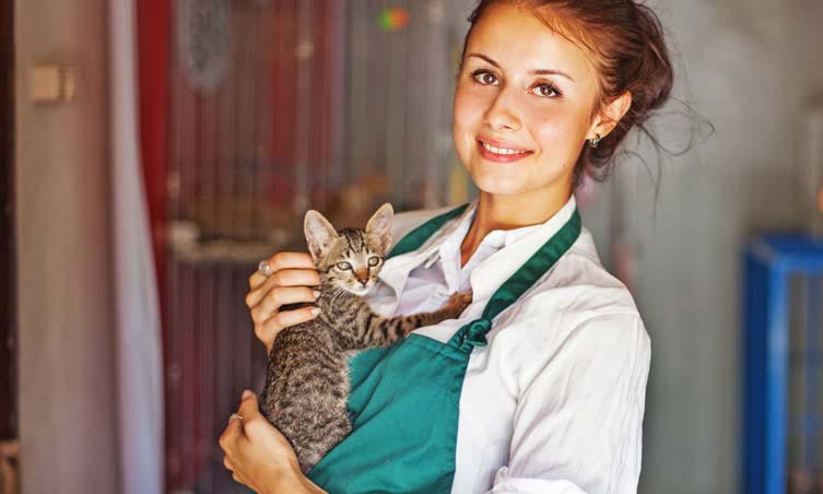 SmartClick Case Study Bel-Rea - SmartClick