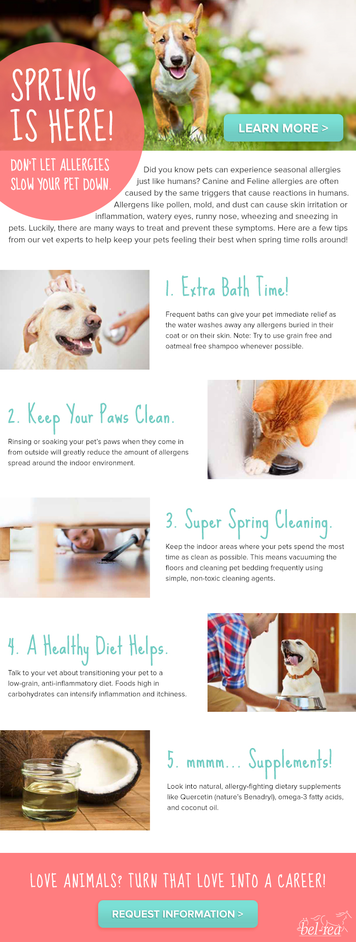 SmartClick Email Creative - SmartClick